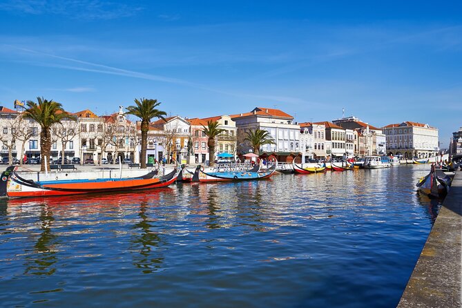 Transfer Tour Porto/Lisbon with 2 stops options Óbidos, Nazaré, Fátima, Coimbra - Value for Money