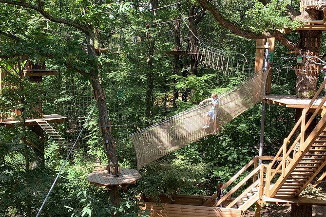 Tree Top Adventure in Forest of Meudon - Final Thoughts: Who Should Consider This?
