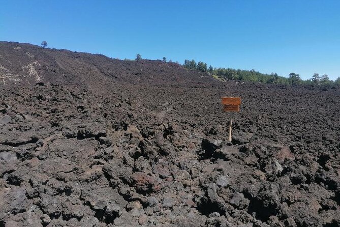 Trekking to Bottoniera Craters - Cancellation Policy and Booking Tips
