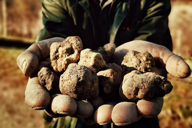 Truffle Hunting and Cheese, Truffle & Wine Tasting near Alba - Final Thoughts