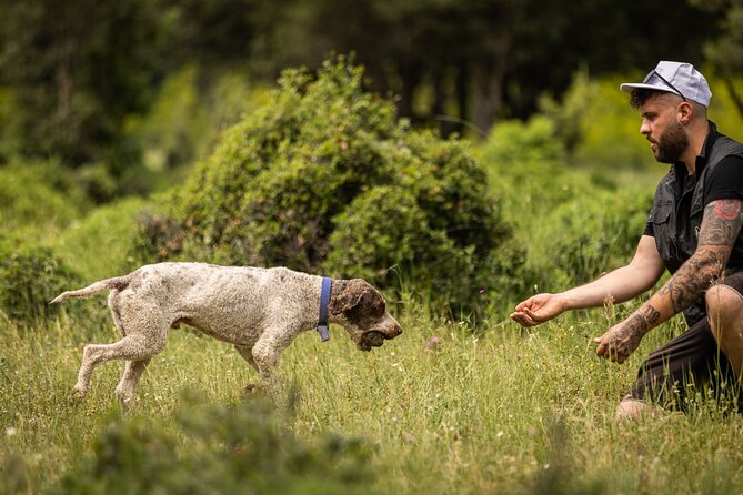 Truffle Hunting at Meteora - Value and Pricing