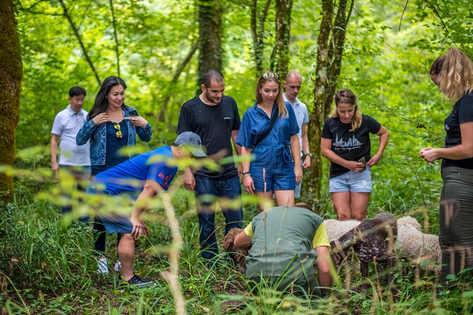 Truffle hunting & cooking tour - Additional Details: Logistics & Tips