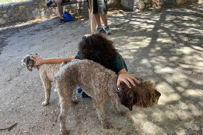 Truffle Hunting, Culinary & Wine Celebration from Elounda - Final Words