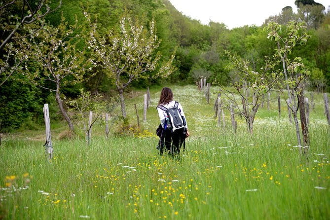 Truffle hunting + gourmet tasting (transfer included) - Final Word