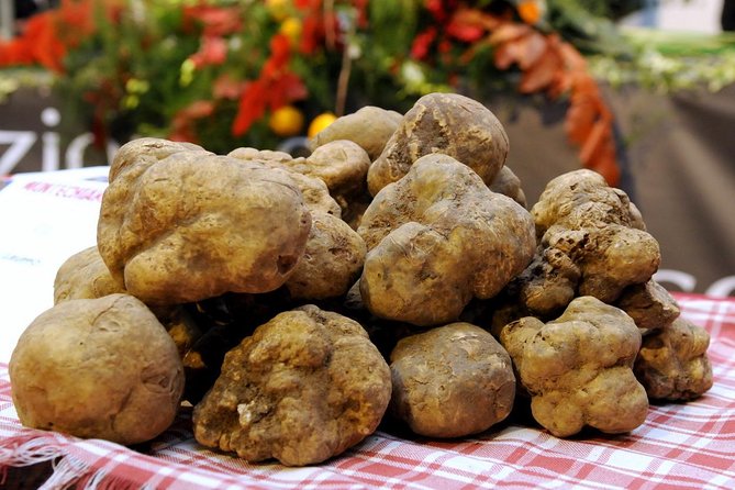 Truffle Hunting with Tasting Included - Umbria, Italy - FAQ