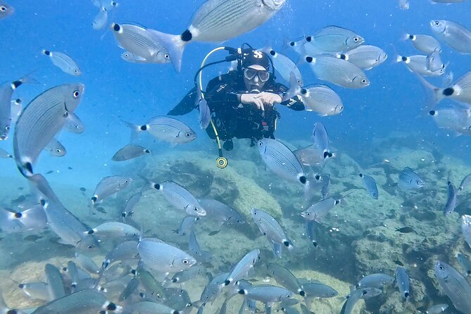 Try Dive - Scuba Diving with a private guide, incl. photos - Conclusions: Who Should Consider This Tour