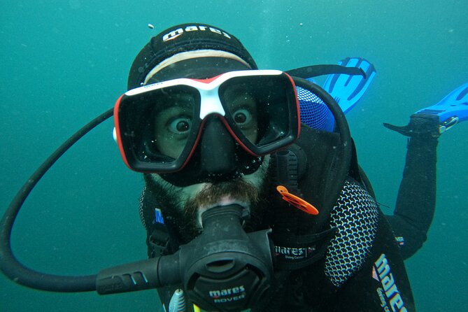 Try Scuba Diving in Arrabida Natural Park (Near Lisbon) with pictures - Final Thoughts