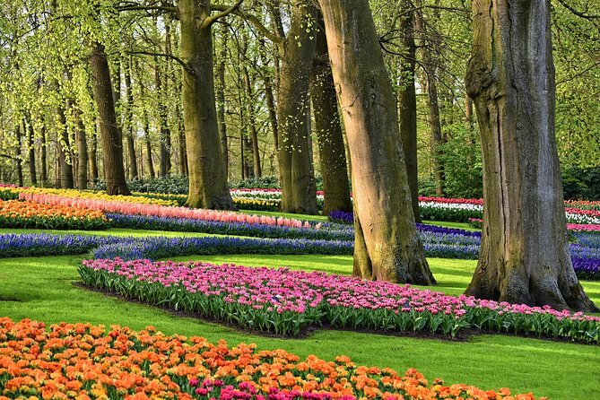 Tulip Experience and Keukenhof Flower Gardens Tour from Amsterdam - Is This Tour Right for You?