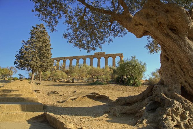 Valley of the Temples and Villa Romana del Casale Day Trip from Taormina - Final Words