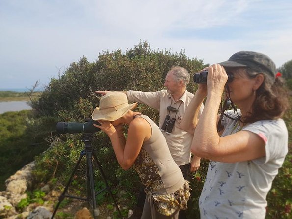 Vendicari - Sicily's best coast nature reserve ( Birdwatching & Archeology ) - Who Will Love This Experience?