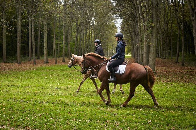 Versailles Private Tour : Horse-riding, Gastronomy & the Palace - Return to Paris