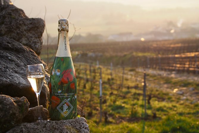 Vineyard tour & Tasting of all our lineup - FAQ