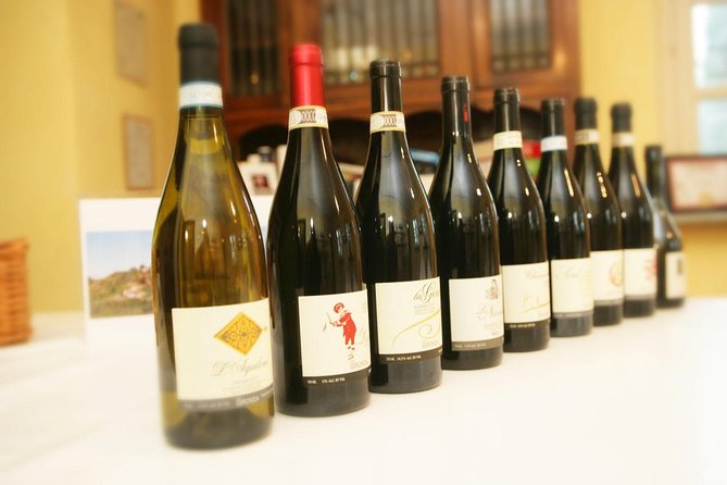 Visit among vineyards and wine cellar with wine tasting in Nizza Monferrato - Summary