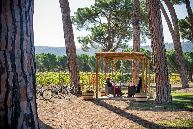 Visit La Joya Escondida de la Ribera del Duero Winery - Final Thoughts