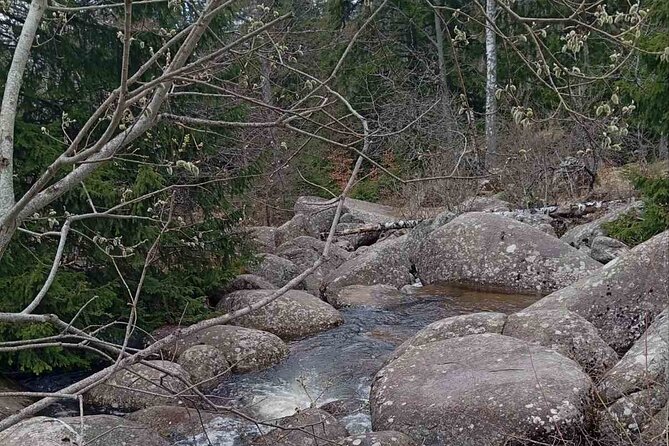 Vitosha Mountain- Heritage and Hiking- Private Day Trip - Who This Tour Is Best For