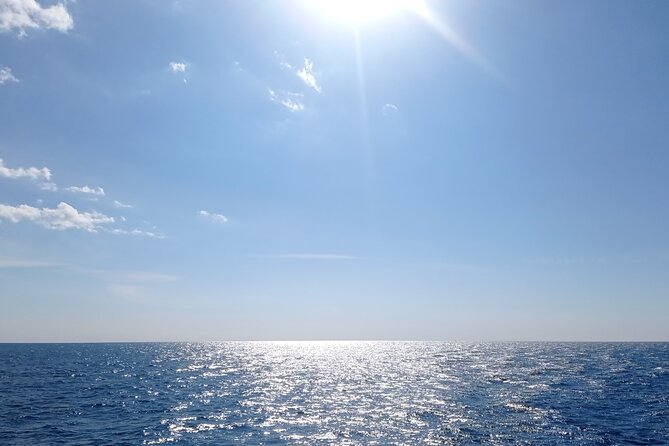 Vrsar, Lim Fjord and Rovinj Day Tour by Boat with Drinks - The Sum Up: Who Will Love This Tour?