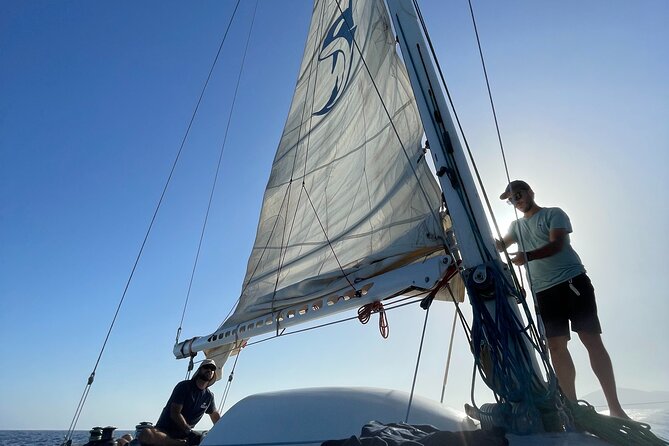 Whale & Dolphin Observation on Silent Catamaran with Hydrophone - FAQ