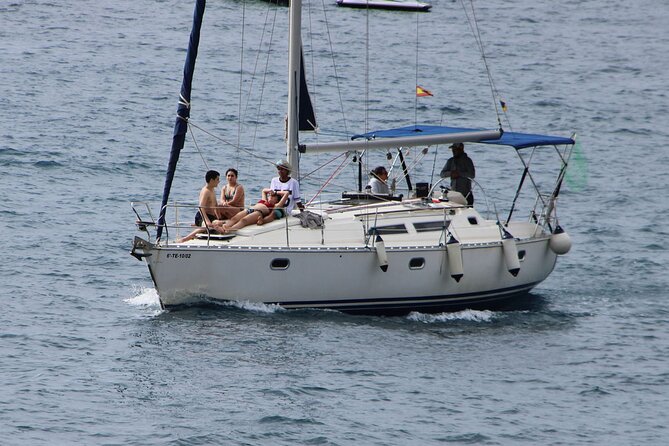 Whale & Dolphin Watching Boat Trip in Tenerife On a Sailing Boat (3 Hr) - The Sum Up: Is This Tour Right for You?