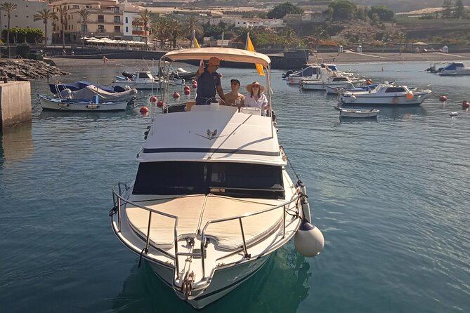 Whale watching and snorkelling in the whale sanctuary - The Sum Up: Who Is This Tour Best For?