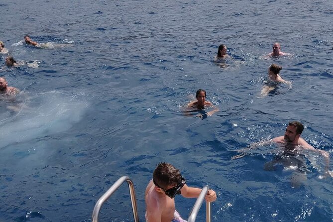 Whale Watching Catamaran in Costa Adeje (Including drinks & Sandwich) - Final Thoughts