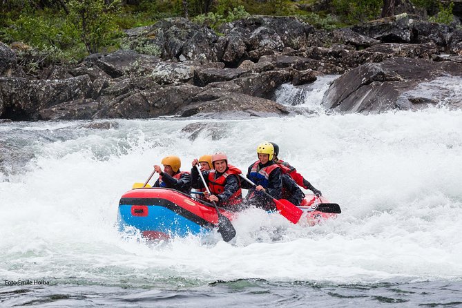White Water Rafting Adventure in Dagali - level 2 - Who Will Enjoy This Tour?