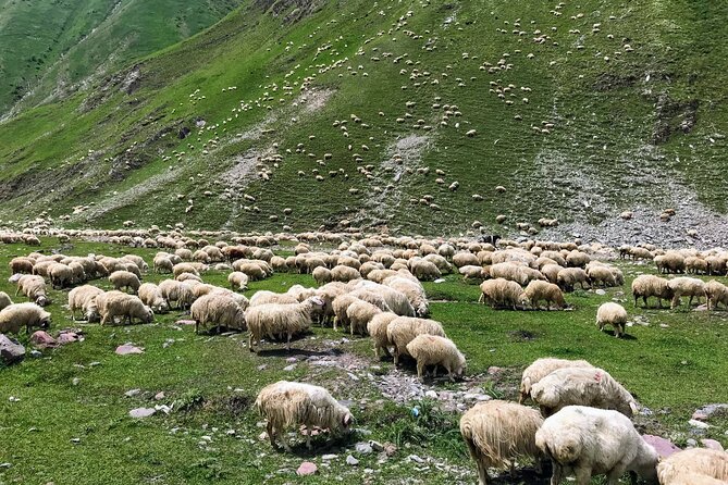 Wild Georgia 4WD PACK Adventure through Kakheti and Kazbegi 2in1 - Final Thoughts