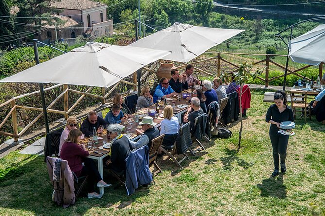Wine and Lunch Tour - Frequently Asked Questions