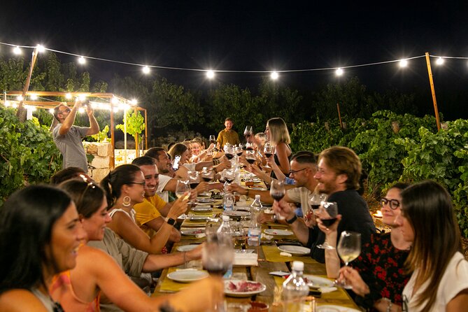 Wine Experience: vineyard, wines and food - Who Will Love This Experience?