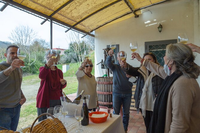 Wine Tasting in Campi Flegrei from Naples - Practicalities & Value
