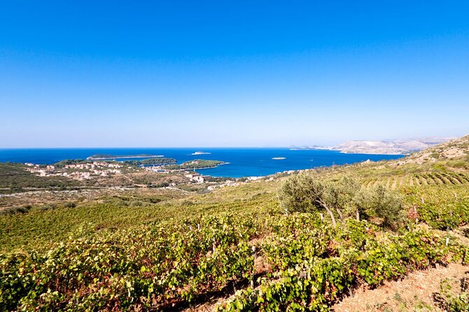 Wine Tasting in Konavle, Near Dubrovnik & Cavtat  Join Us! - Who Should Book This Tour?