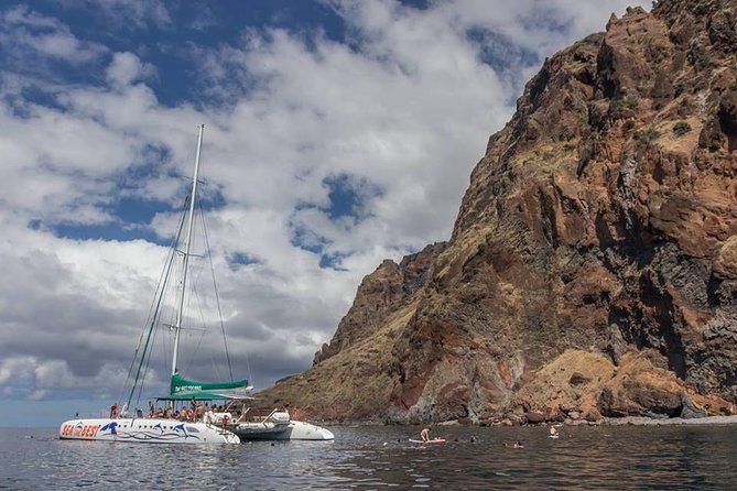 Wines Tasting Experience and Skywalk with Dolphin Watching - FAQ