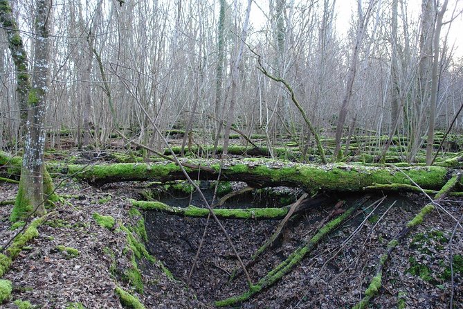 World War 1 Walk Through Trenches and Bunkers - The Sum Up: An Authentic, Thought-Provoking WWI Adventure