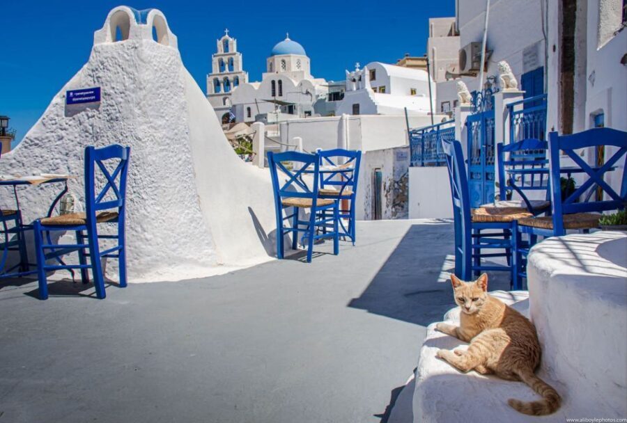 6-Hour Sightseeing Private Guided Tour by Van - The Itinerary Breakdown: What to Expect