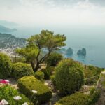 6 Hours Private Tour of Capri with Certified Guide - Who Is This Tour Best For?