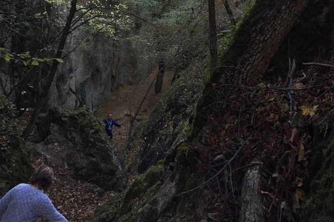 1 day hiking in Birtvisi Canyon from Tbilisi - Practicalities and Considerations