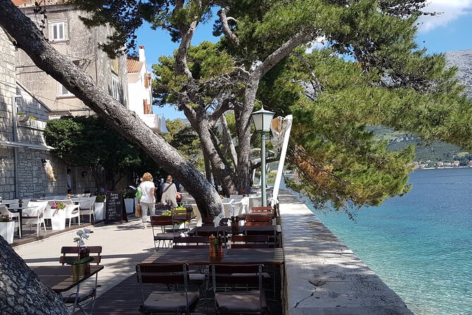 1 Hour Private Walking Tour in Korcula - Who Should Opt for This Tour?