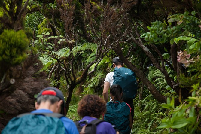10 Volcanos hiking private tour in Faial - Final Thoughts