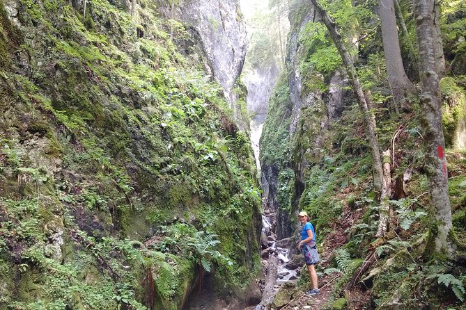 2-Day Transylvania Culture Trek from Brasov - Small Group Tour - FAQ
