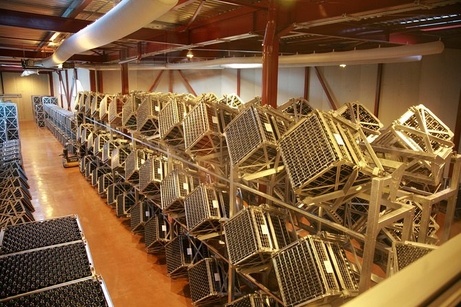 2 Hour Sparkling Wine Tasting and visit in Beaune - The Sum Up: Who Should Book This Tour?
