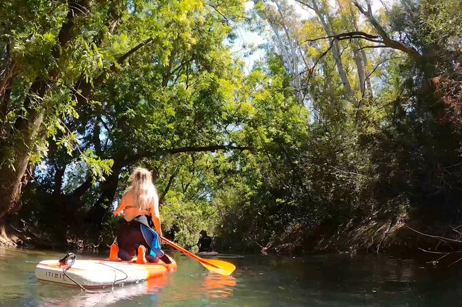 2 Hours guided tour in Sup in the Syracuse coast - The Sum Up: Who Should Consider This SUP Tour?