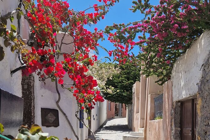 3 hours Panoramic Tour to Oia - Final Thoughts