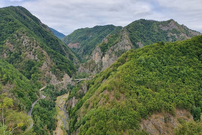 4 Days Private Tour in Romania from Bucharest - The Value Proposition