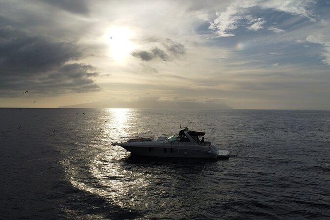 4 Hour Boat Tour with Snorkeling from Puerto Rico and Mogan - References