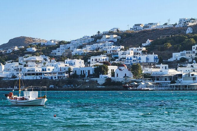 4Hours Mykonos Adventure Walk in Town & Minivan Countryside Tour - Authentic Feedback
