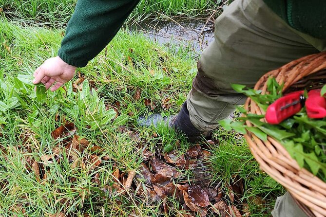 Adult Foraging Walk & Bushcraft Cookery Course for Beginners - FAQs