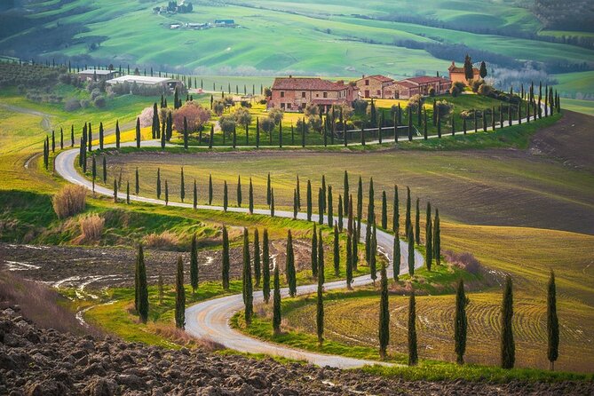 All Tuscany Private Siena San Gimignano & Chianti Livorno Shore Excursion - FAQ
