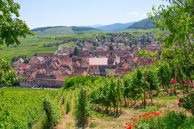 Alsace Wine Route Wineries & Tasting Small Group Guided Tour from Strasbourg - How the Experience Holds Up Based on Reviews
