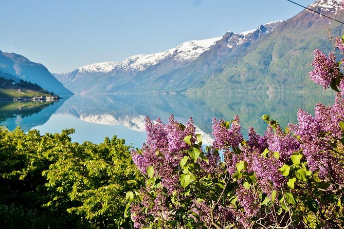 AMAZING HARDANGER FJORD: Private guided round trip from Bergen, 10 hours - Final Thoughts