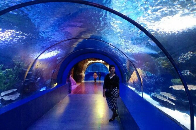Antalya Aquarium, Wax Museum, Snow World, Wild Park, XD Cinema - FAQ