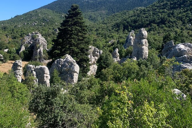 Arcadia experience, nature, people and culture - Wrapping It Up